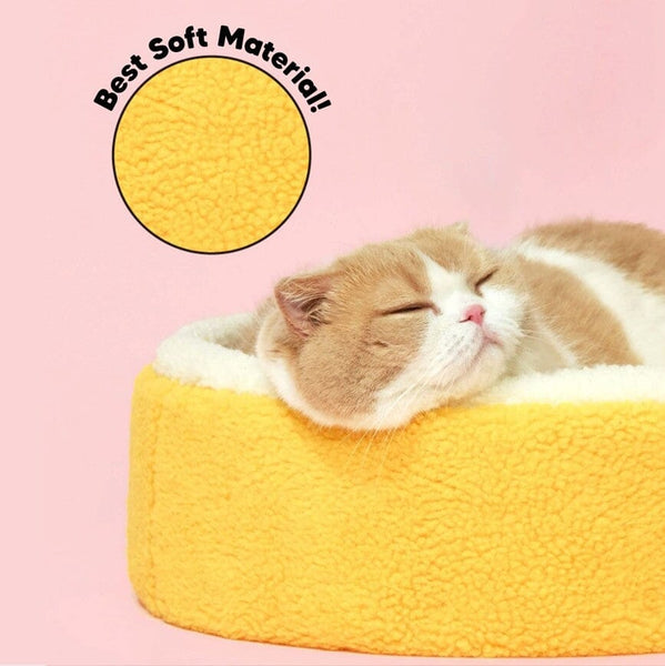 capybara cat bed