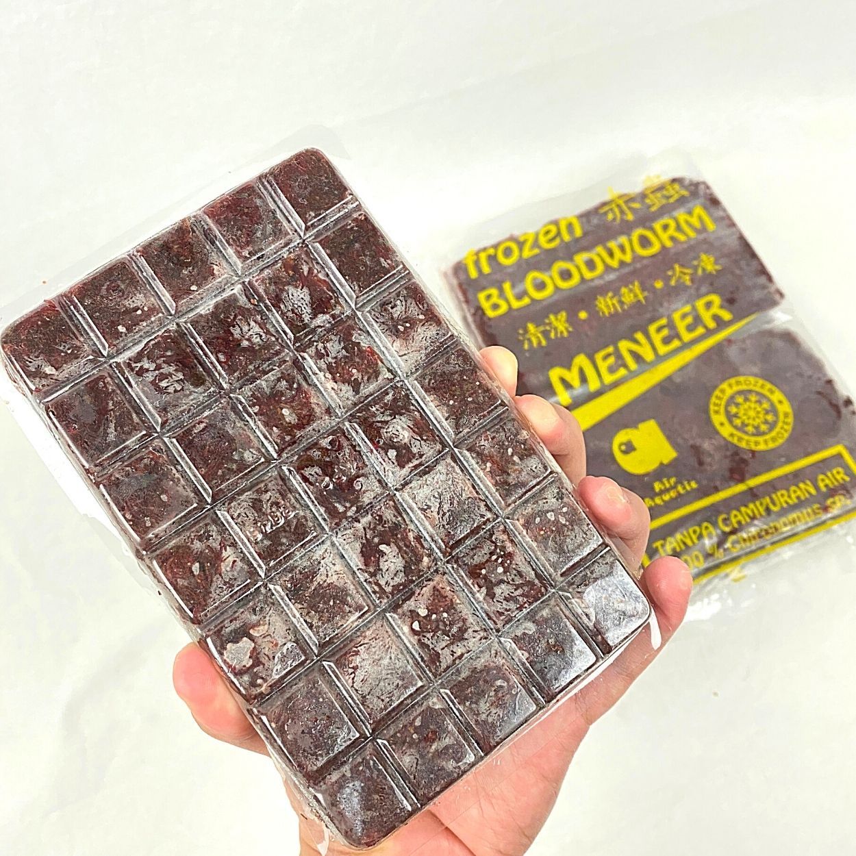 Frozen BloodWorm Meneer Tray– Pet Republic Indonesia